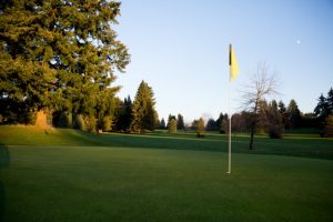 About Us | Greenlea Golf Course